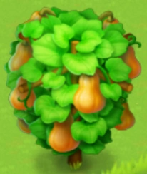 Butternut Squash Tree | Family Farm Seaside Wiki | Fandom