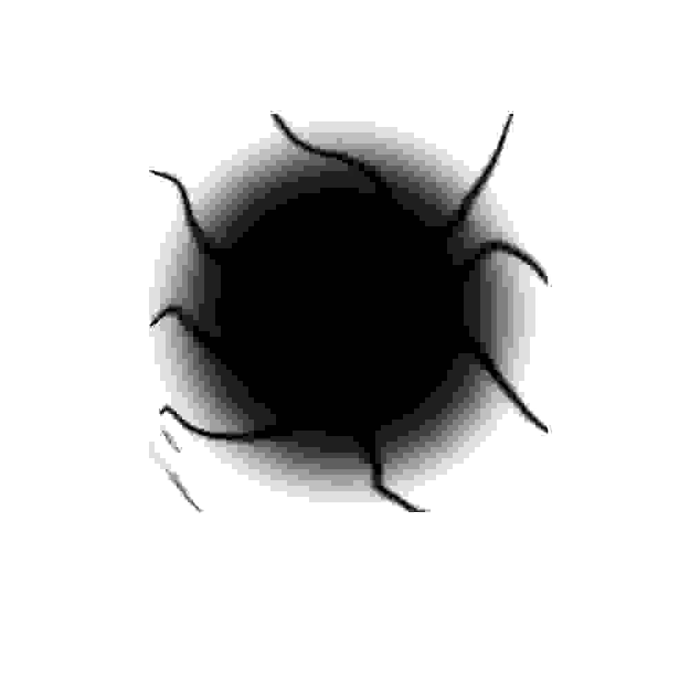 Laird Hamilton Family