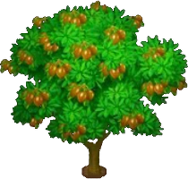 African Shea Tree | Family Farm Wiki | Fandom