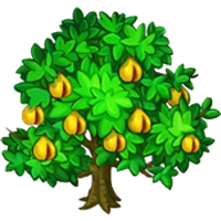 Nutmeg Tree | Family Farm Wiki | Fandom