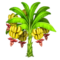 Banana Tree | Family Farm Wiki | Fandom