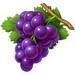 Grape | Family Farm Wiki | Fandom