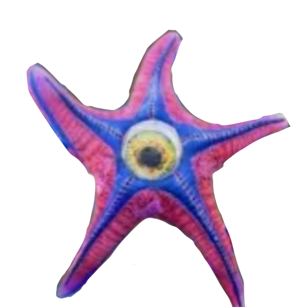 Starro The Conqueror | FamilyFun Wiki | Fandom