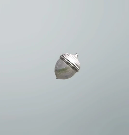 Silver acorn | FamilyFun Wiki | Fandom