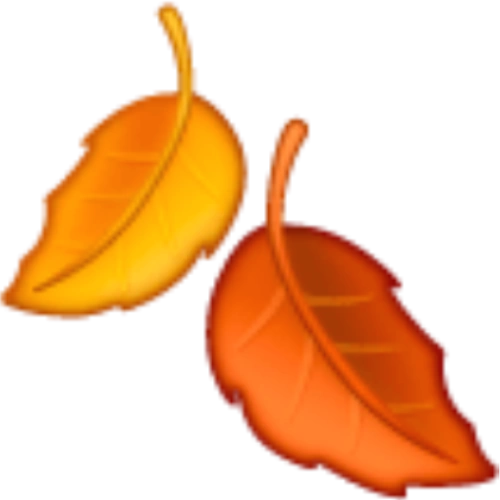 Fallen Leaf Emoji | FamilyFun Wiki | Fandom