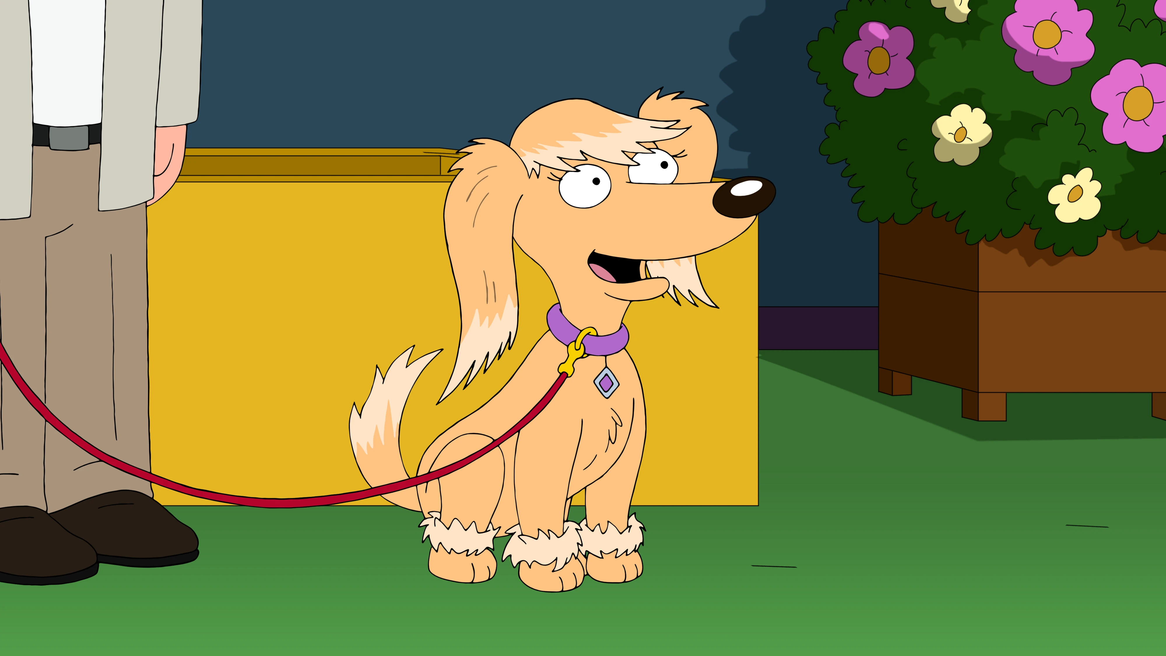 What Kind Of Dog Is Brian From Family Guy