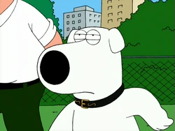 Brian: Portrait of a Dog | Family Guy Wiki | Fandom