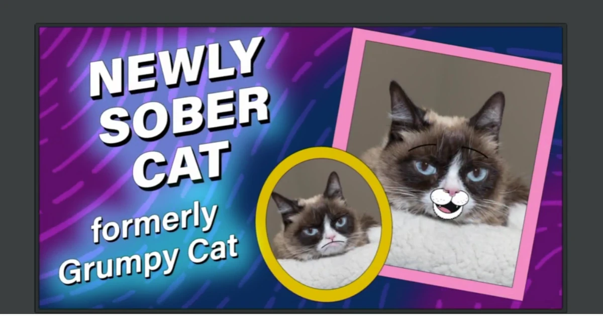 Grumpy Cat | Family Guy Wiki | Fandom
