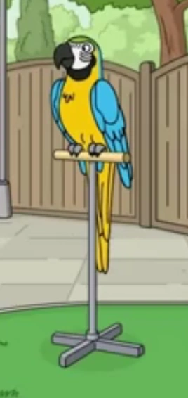 Bernie the Tiny Parrot | Family Guy Fanon Wiki | Fandom