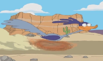 Road Runner | Family Guy Fanon Wiki | Fandom