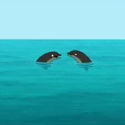 Family Guy Gif Dolphin