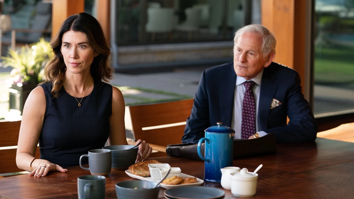 When the Chip Hits the Fan | Family Law Wiki | Fandom