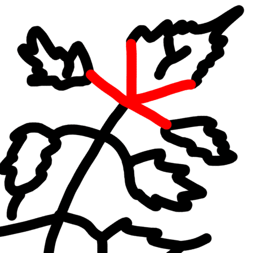 Letters Hidden in Drawings