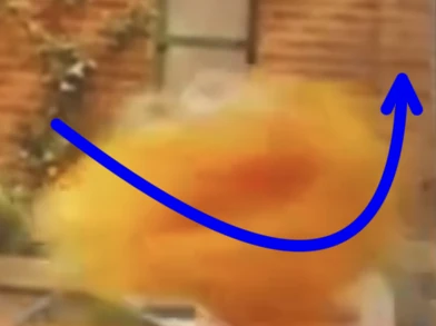 Zoe | Fan Animated Spinning Wiki | Fandom