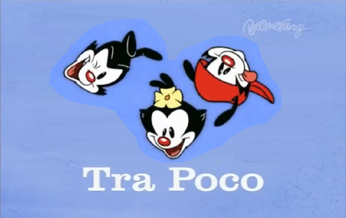 Boomerang Italy Tra Poco Animaniacs (2006) (YouTube stuff) | Fan art ...