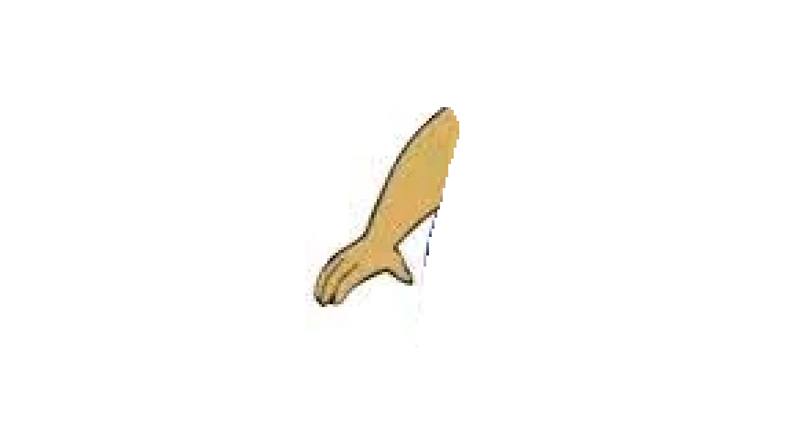 Cynthia Brisby‘s elbow vectors by timmybrisbyfan1925 (DeviantArt stuff ...
