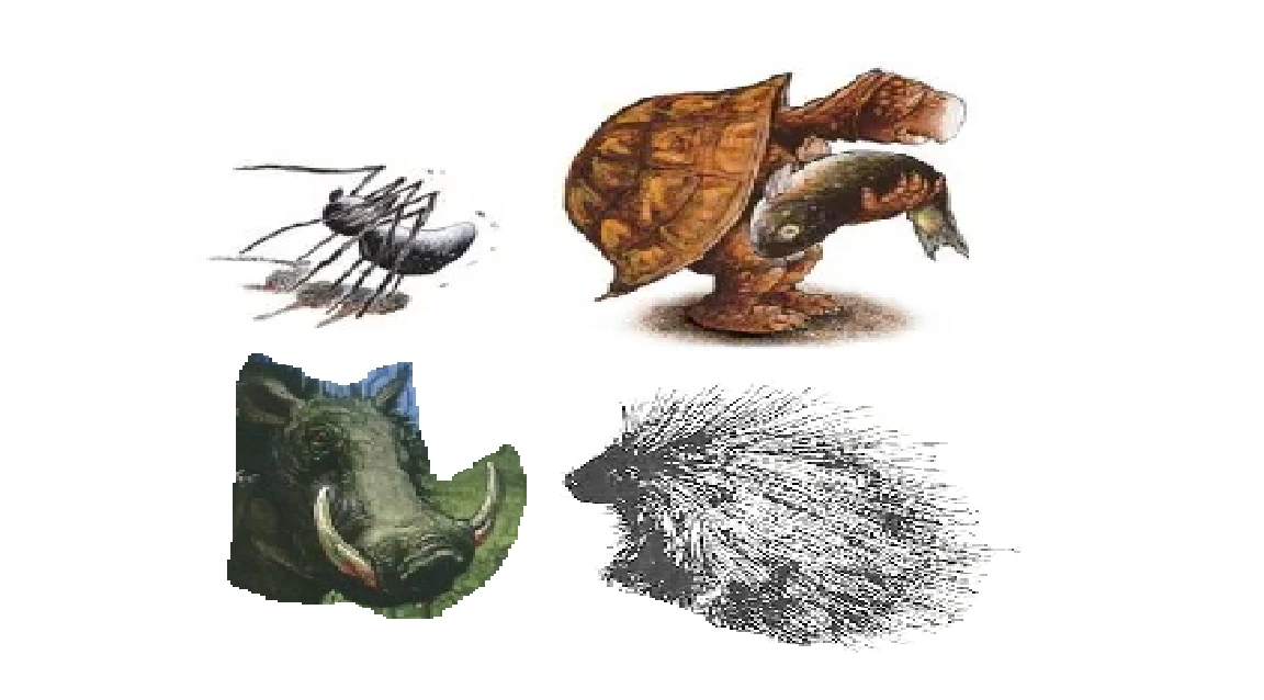 Anansi Goes Fishing (Eric A. Kimmel, Normand Chartier, 2004) | Fan art ...