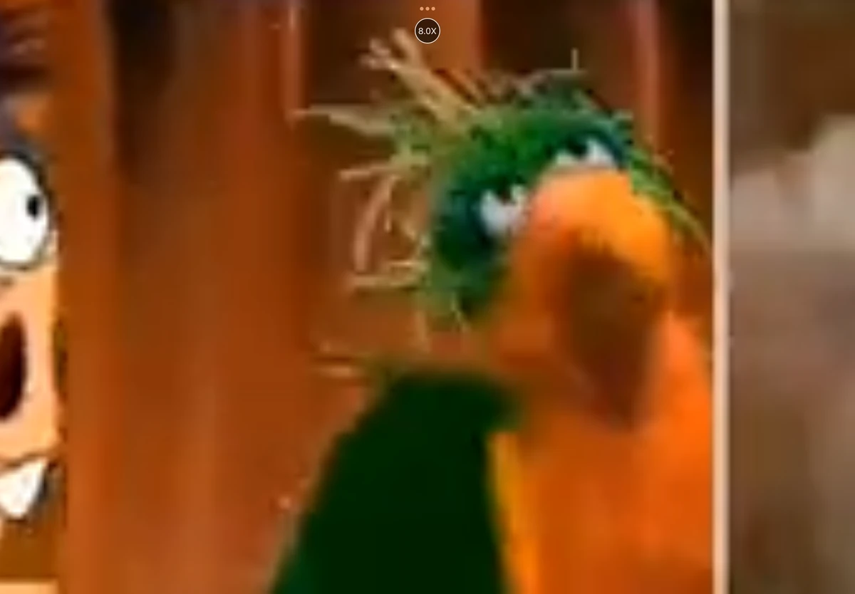 Eric the Parrot (Sir Ian Baerga) | Fan art Fun Wiki | Fandom