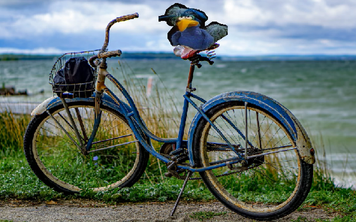 Mel Bird Rides a Bike by SidabatheToonLord (DeviantArt stuff) | Fan art ...