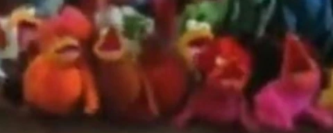 The Muppets Birds Characters | Fan art Fun Wiki | Fandom