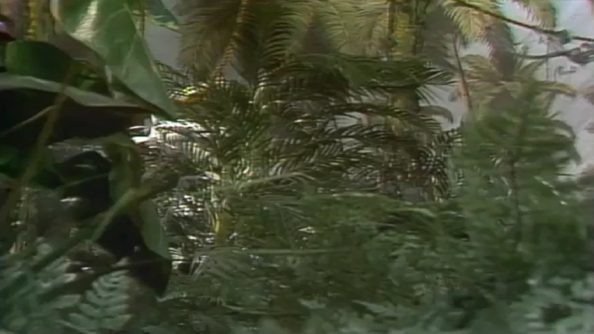 Sesame Street (1969) Picture Background 2 by joseluislobatohumane ...