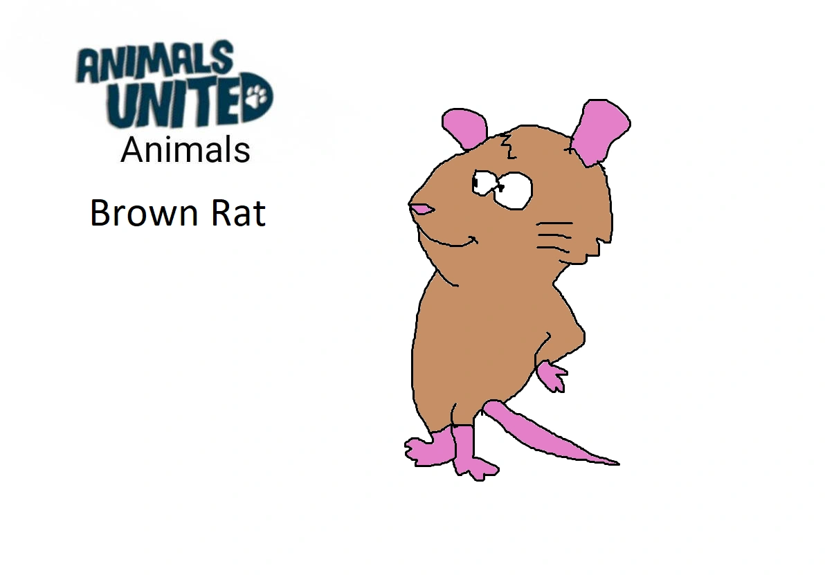 Animals United Animals : Brown Rat by SidabaTheToonLord (DeviantArt ...