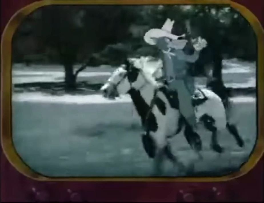 Cowboy Dixie Wolf by MaxietheFox2005 (DeviantArt stuff) | Fan art Fun ...