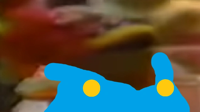 The Same Photo While I Eat Crackers Doris Bird (from The Muppets a celebration of 30 years ...