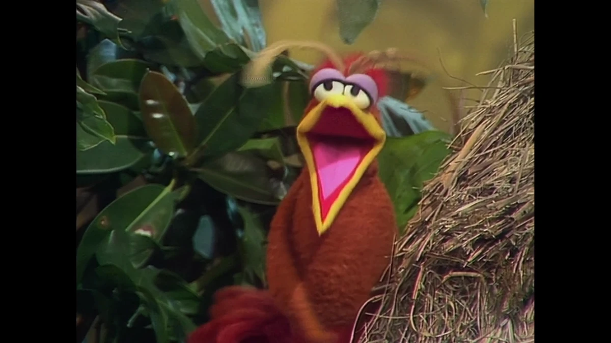 Harvey Bird (The Muppet Show) | Fan art Fun Wiki | Fandom