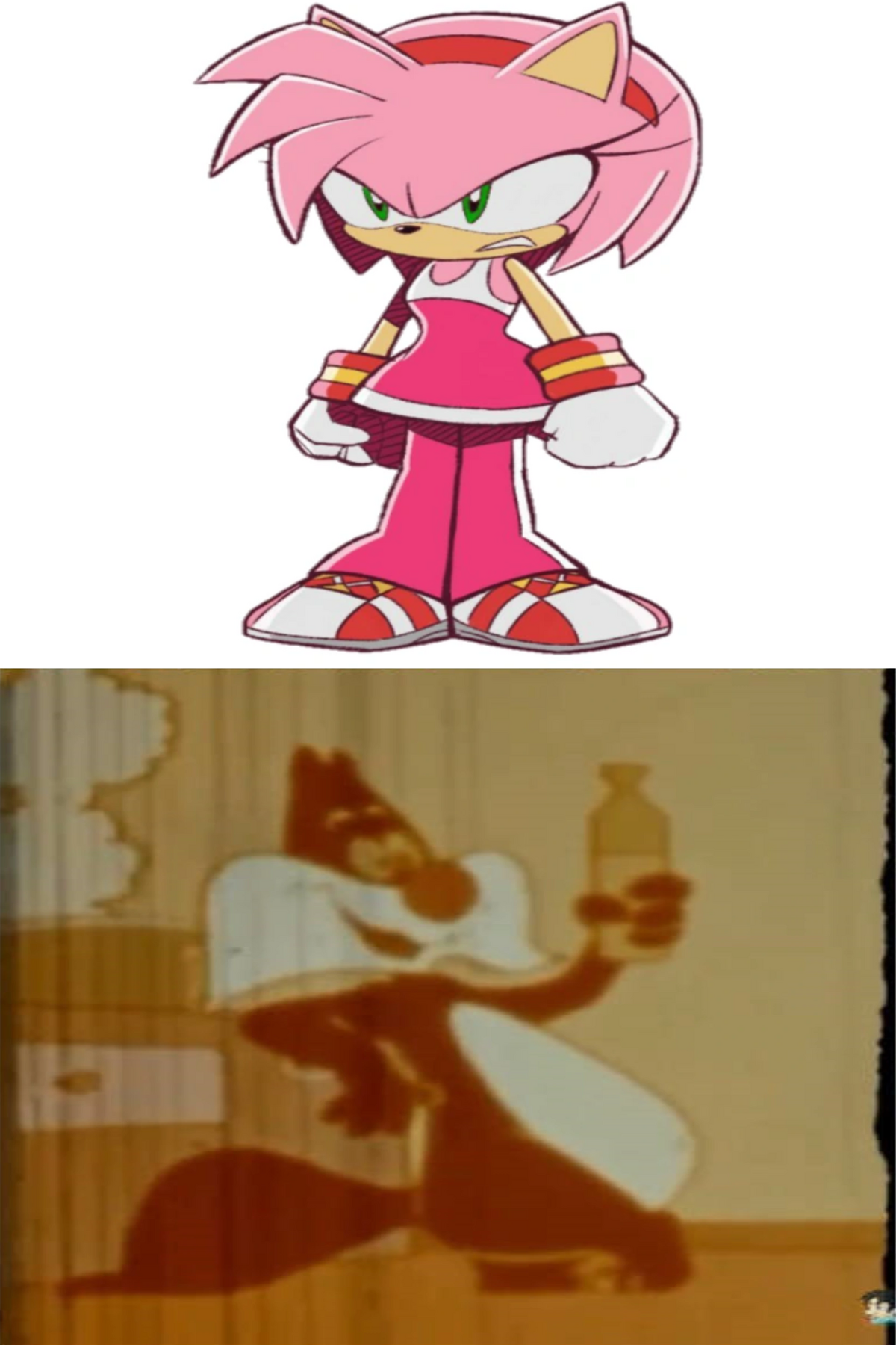 Amy Rose Hates Gatto Evaristo By Maxiethefox2005 Deviantart Stuff