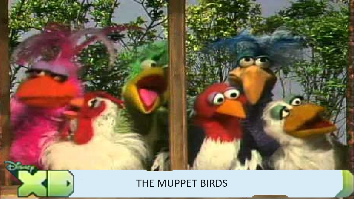 The Muppet Birds from Disney XD by daddymcabee | Fan art Fun Wiki | Fandom
