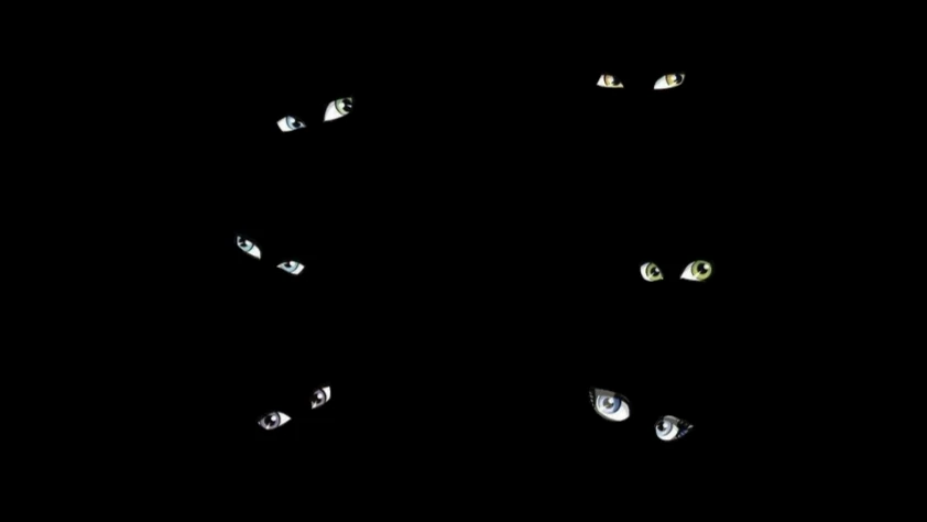 Monster High Eyes in the Dark by Snjxjn (DeviantArt Stuff) | Fan art ...