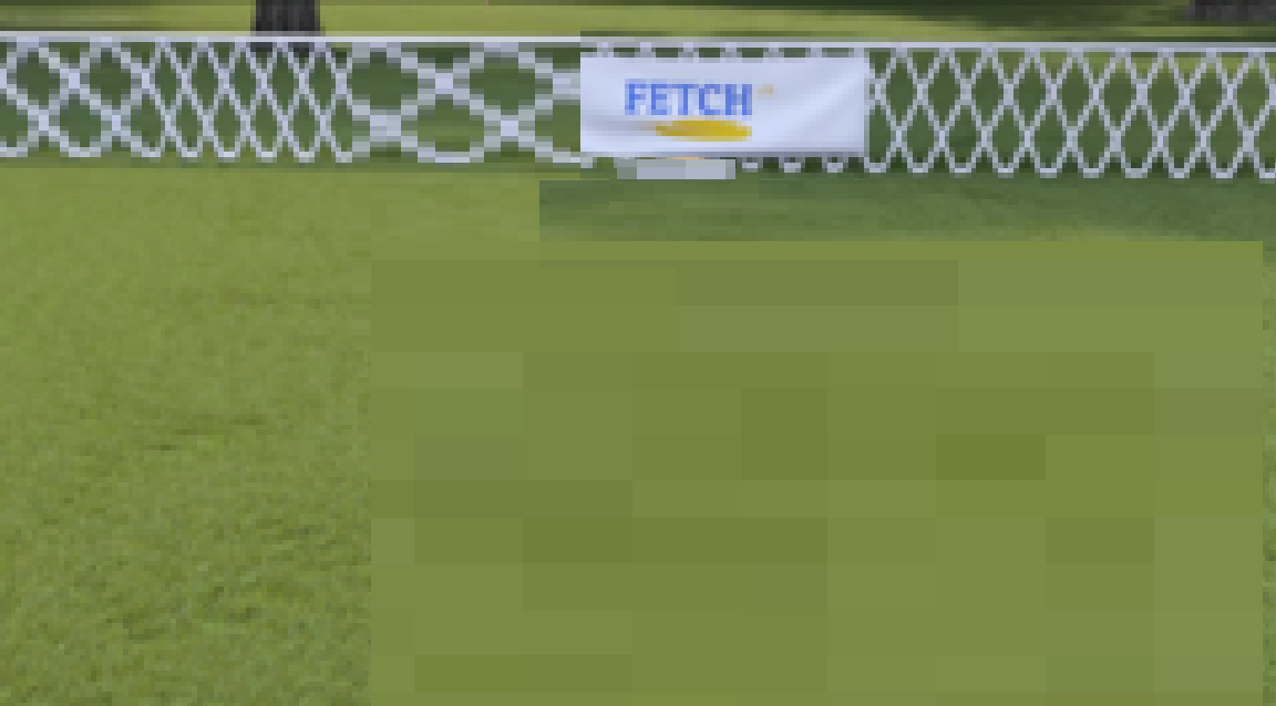 Marmaduke (2022) Background by timmybrisbyfan1925 (DeviantArt stuff ...