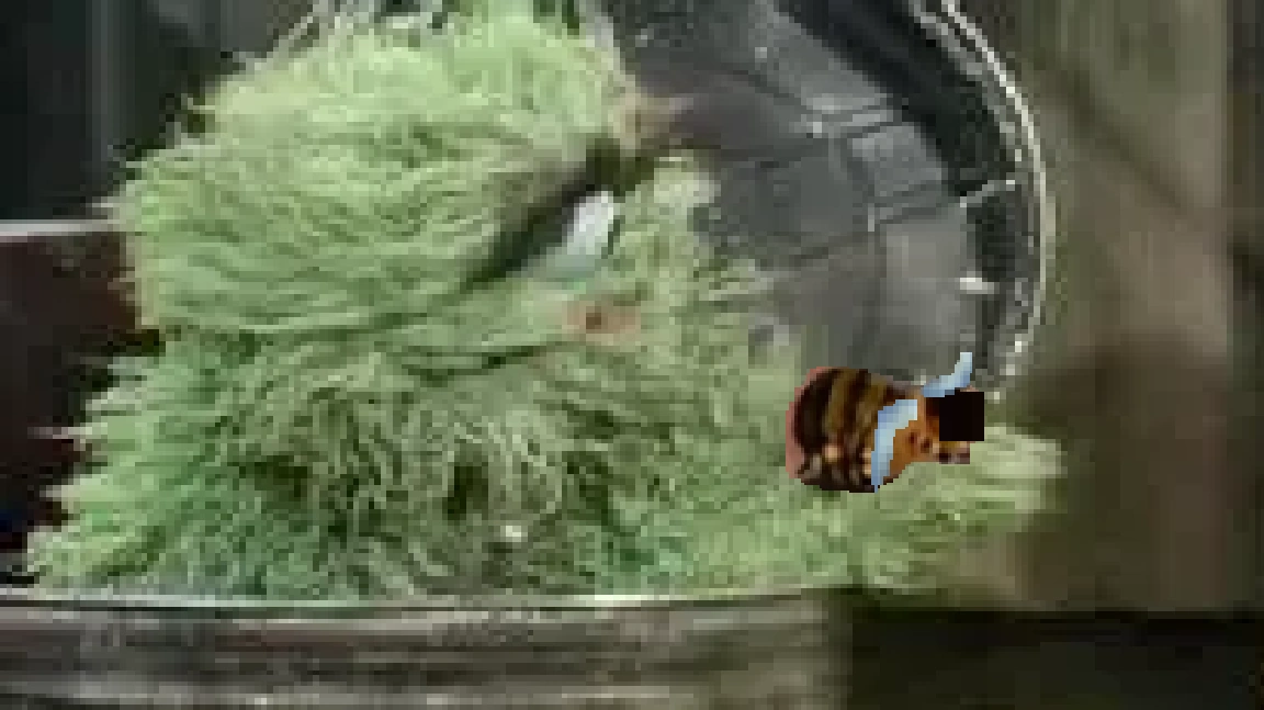 Oscar's pets in a number of episodes of pet names V (Muppet Wiki stuff ...