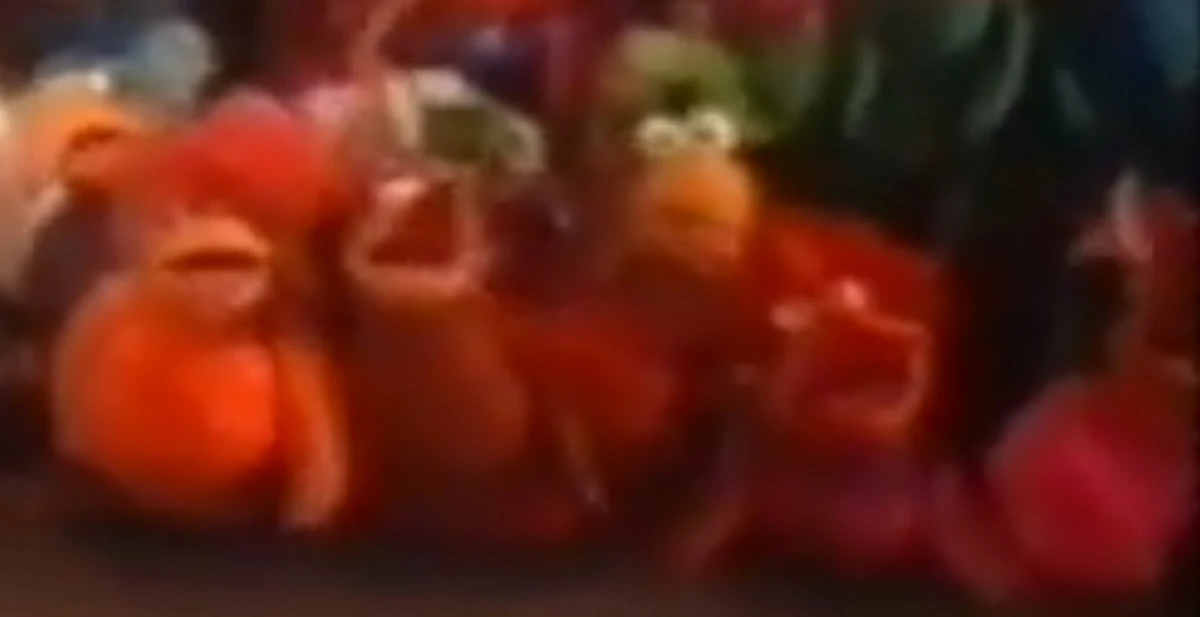 Harvey, Clyde, Doris, Shirley, Mel and Duke Birds (The Muppet Movie) | Fan art Fun Wiki | Fandom