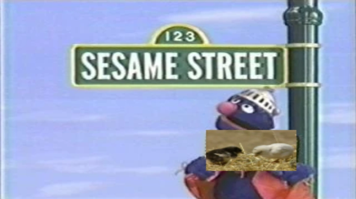 What if What sound does a baby chick make skit appeared in Sesame ...