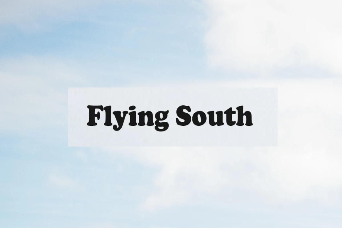 Flying South Title Card | Fan art Fun Wiki | Fandom