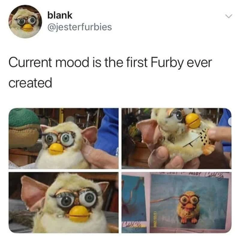 Furby Memes | Fan art Fun Wiki | Fandom