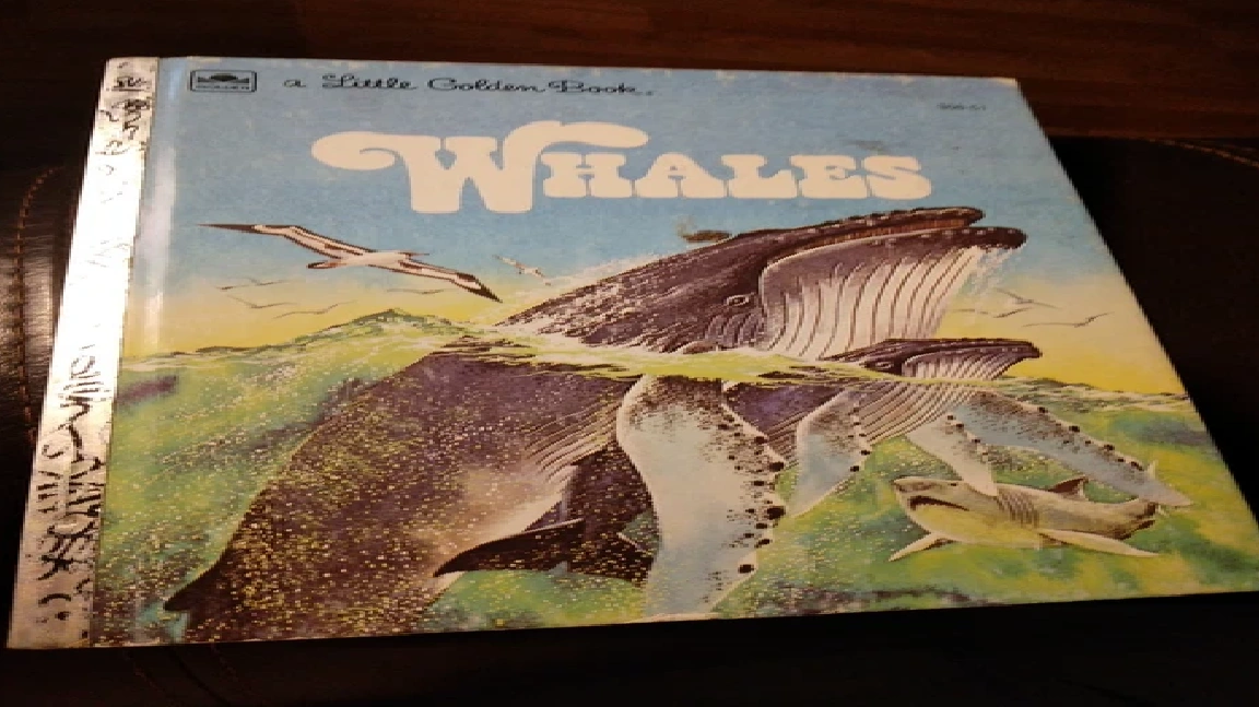 Vintage Little Golden Book Whales 1979 | Fan art Fun Wiki | Fandom