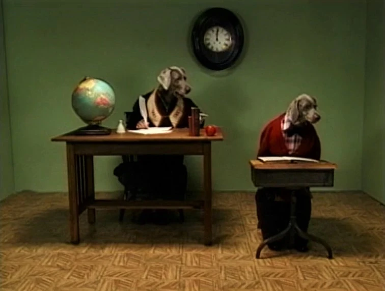 4 Sketches appeared on Sesame Street Season 31 (Muppet Wiki stuff ...