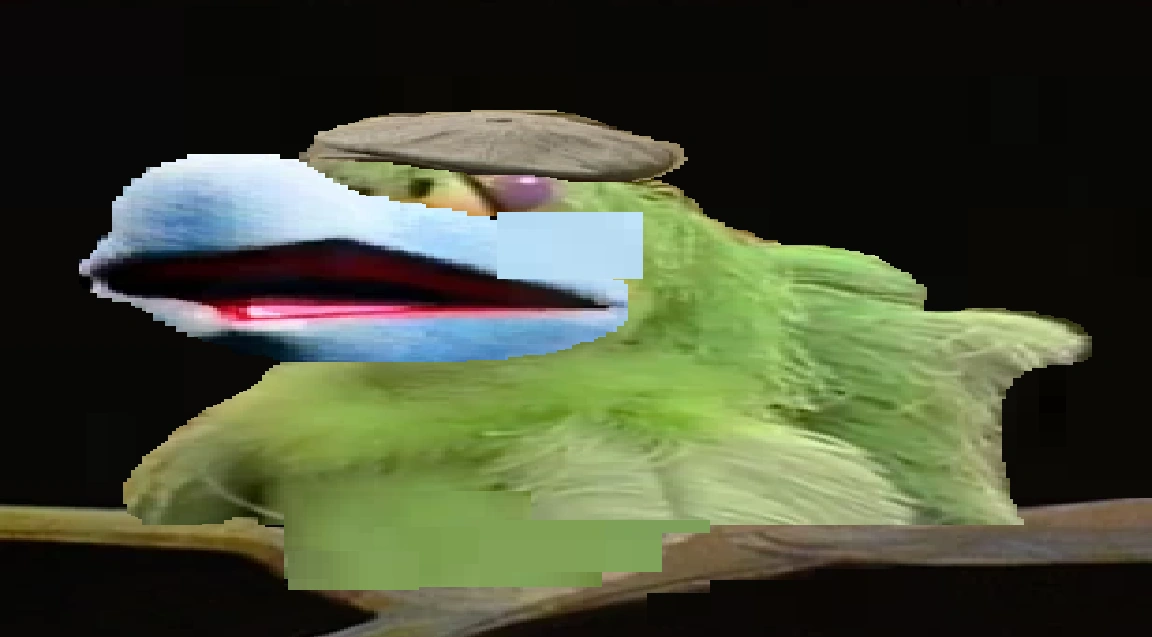 Benny Bird Count to 50 by Sir Ian Baerga (YouTube stuff) | Fan art Fun ...