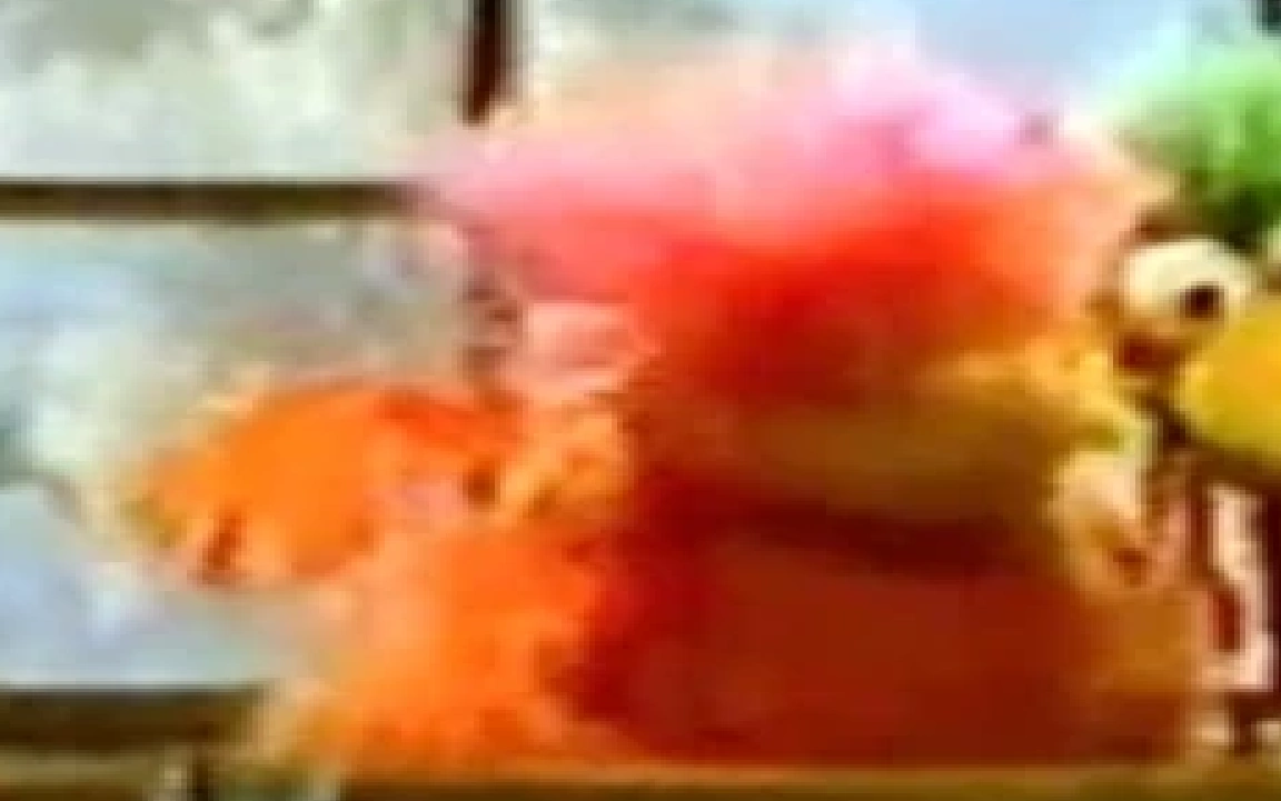 Doris Bird (Little Muppet Monsters) | Fan art Fun Wiki | Fandom