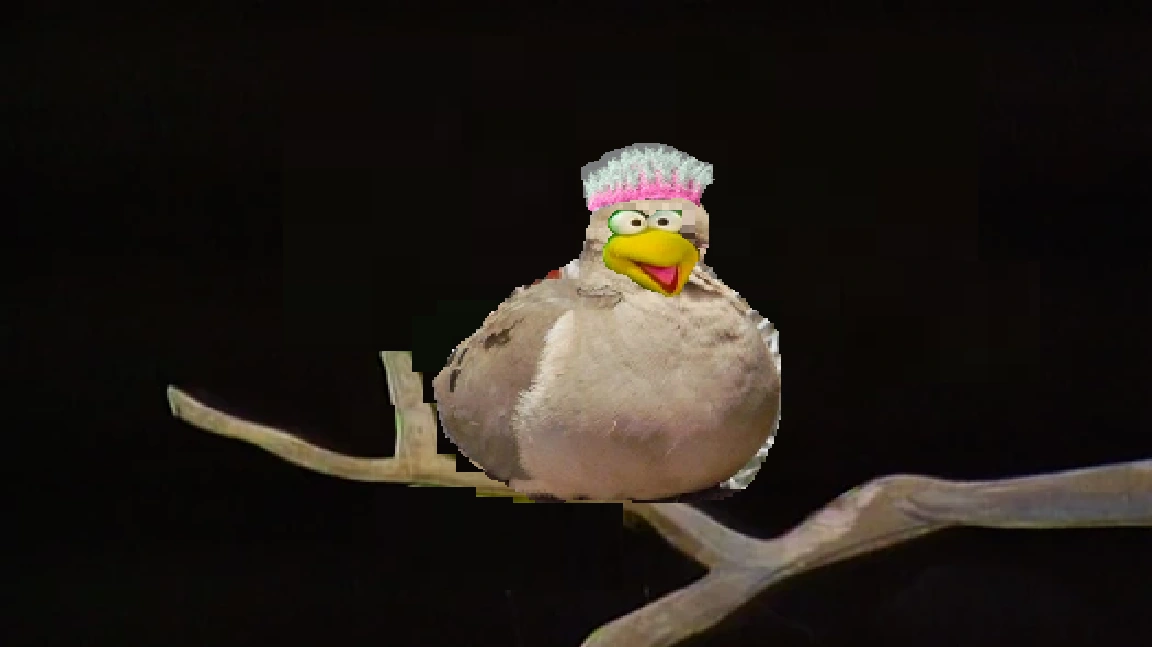 Chirpy Bird | Fan art Fun Wiki | Fandom