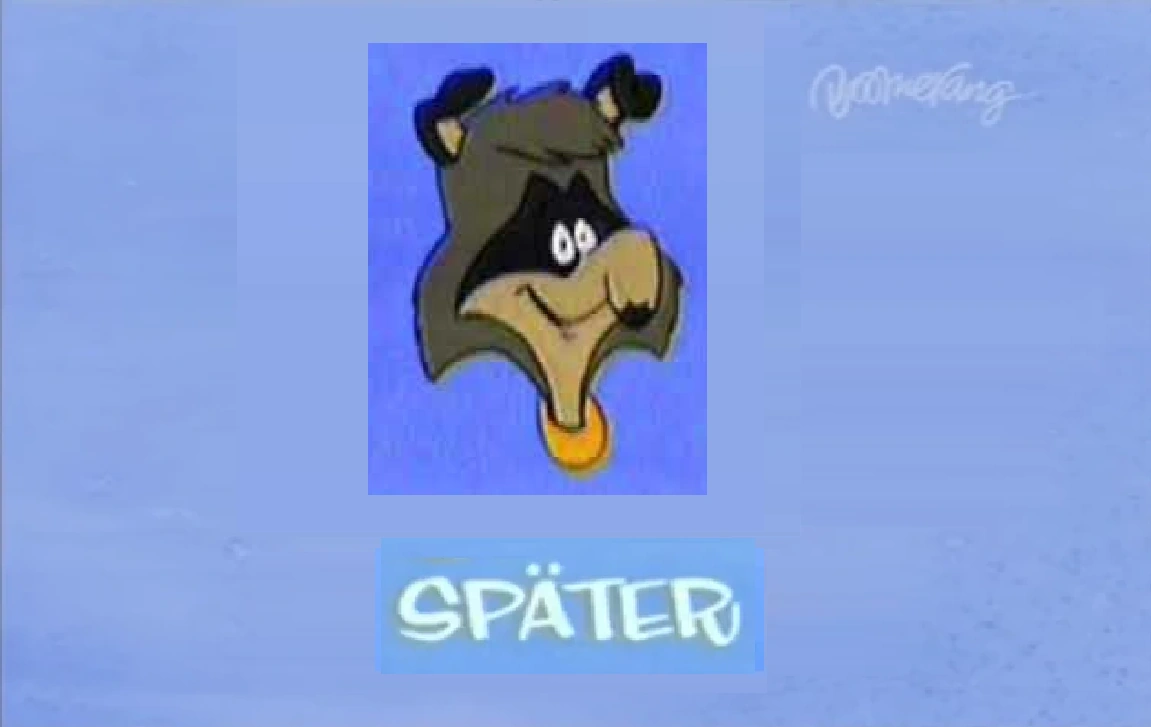 Boomerang Germany Später The Raccoons (2006) (YouTube stuff) | Fan art ...