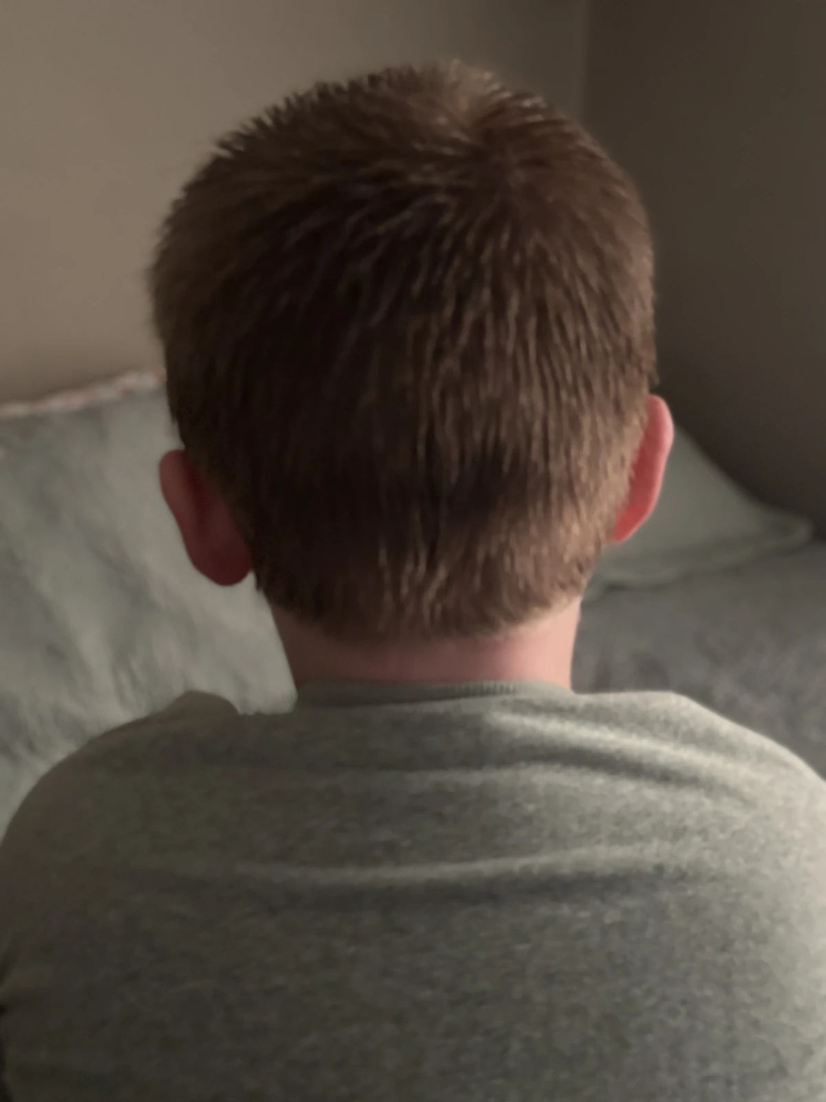 Back close up | Fan art Fun Wiki | Fandom