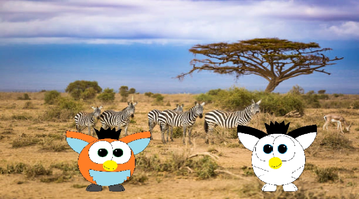 Boh-boy the Zebra Furby (Official Furby Wiki stuff) | Fan art Fun Wiki ...