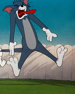 Tom Cat screams by MaxietheFox2005 (DeviantArt stuff) | Fan art Fun ...