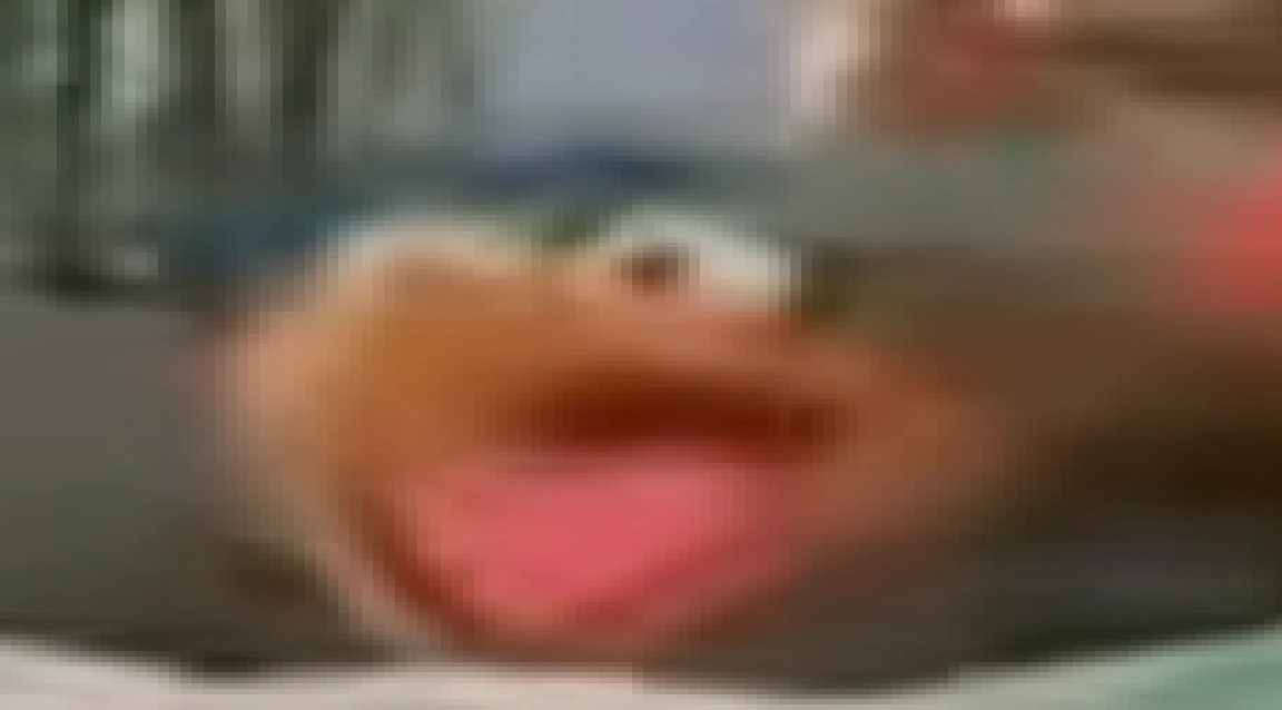 Mel Bird in The Muppet Show Episode 410 | Fan art Fun Wiki | Fandom