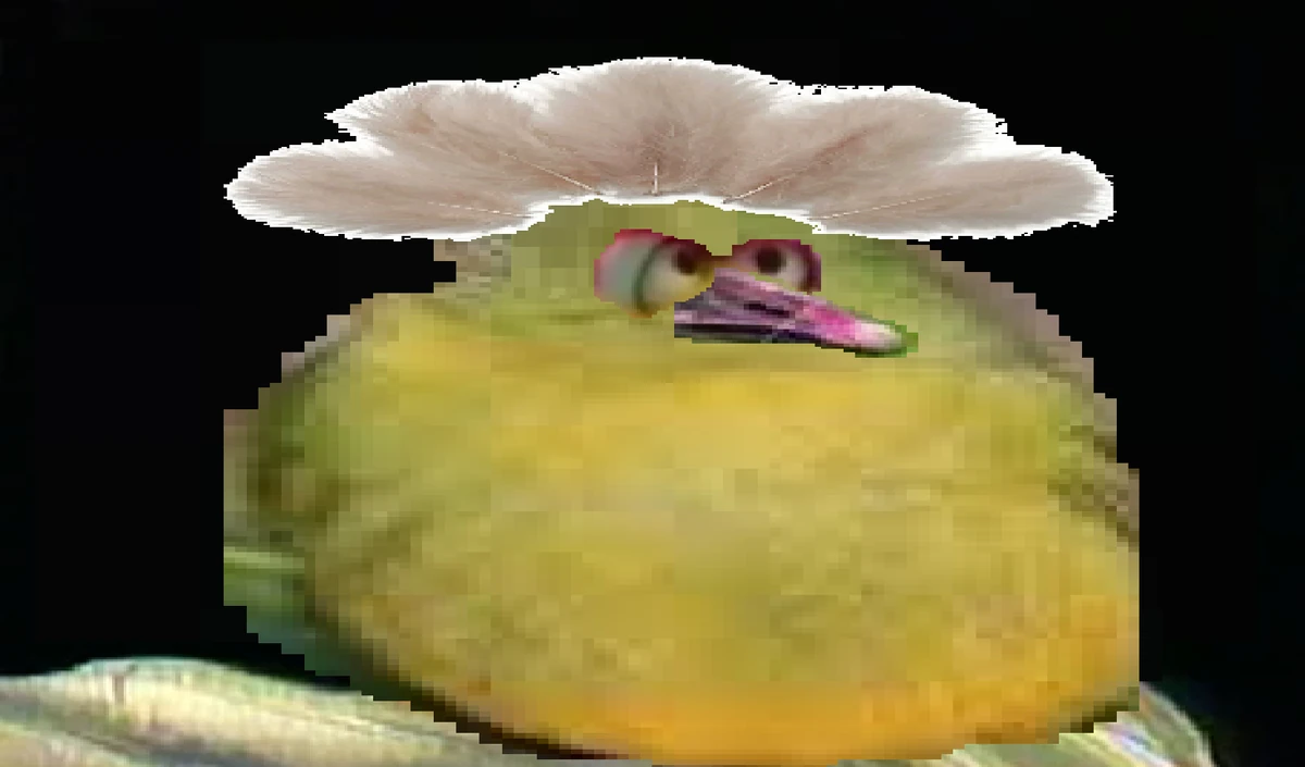 Coco Bird | Fan art Fun Wiki | Fandom