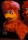 Doris Bird (The Muppet Show) | Fan art Fun Wiki | Fandom